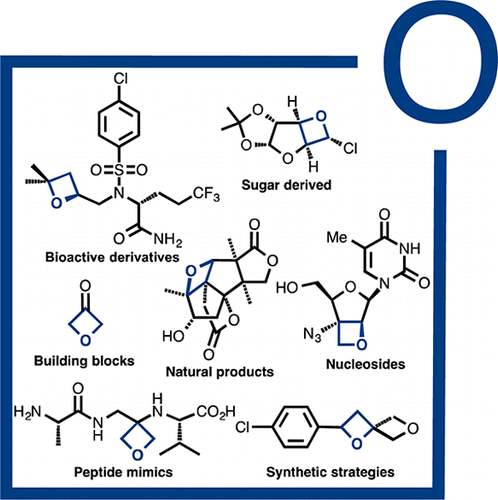 Oxetanes: Recent Advances in Synthesis, Reactivity, and Medicinal ...