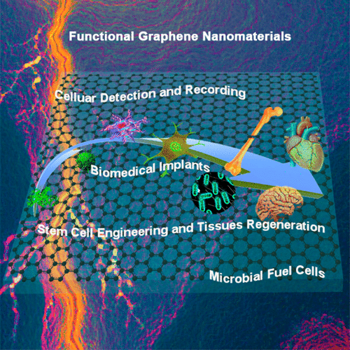 Functional Graphene Nanomaterials Based Architectures: Biointeractions ...