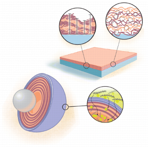 逐层组装的创新,Chemical Reviews - X-MOL