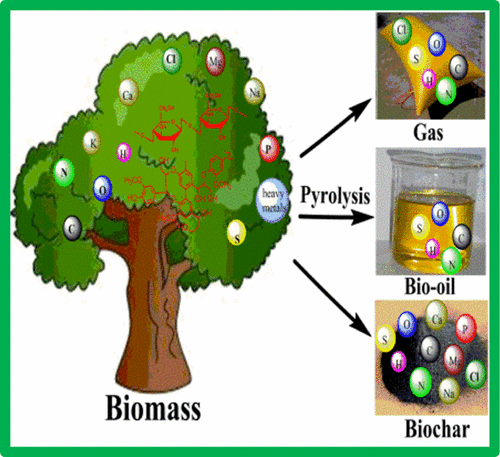 Fates of Chemical Elements in Biomass during Its Pyrolysis,Chemical ...