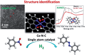 Single-atom dispersed Co–N–C catalyst: structure identification and ...