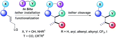 In situ tether formation from amines and alcohols enabling highly ...