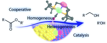 Heterogeneous and homogeneous catalysis for the hydrogenation of ...