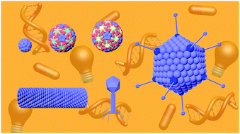 Design of virus-based nanomaterials for medicine, biotechnology, and ...