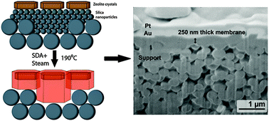 Zeolite membranes – a review and comparison with MOFs,Chemical Society ...