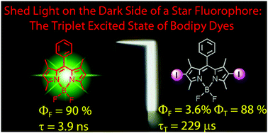 The triplet excited state of Bodipy: formation, modulation and ...