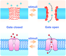 Stimuli-responsive smart gating membranes†,Chemical Society Reviews - X-MOL