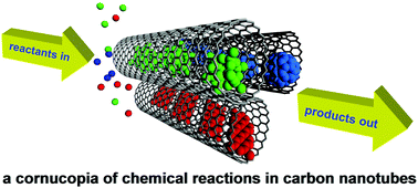 Chemical reactions confined within carbon nanotubes,Chemical Society ...