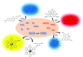 Recent progress in the development of fluorescent, luminescent and colorimetric probes for ...