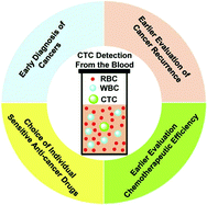 Current detection technologies for circulating tumor cells.,Chemical ...