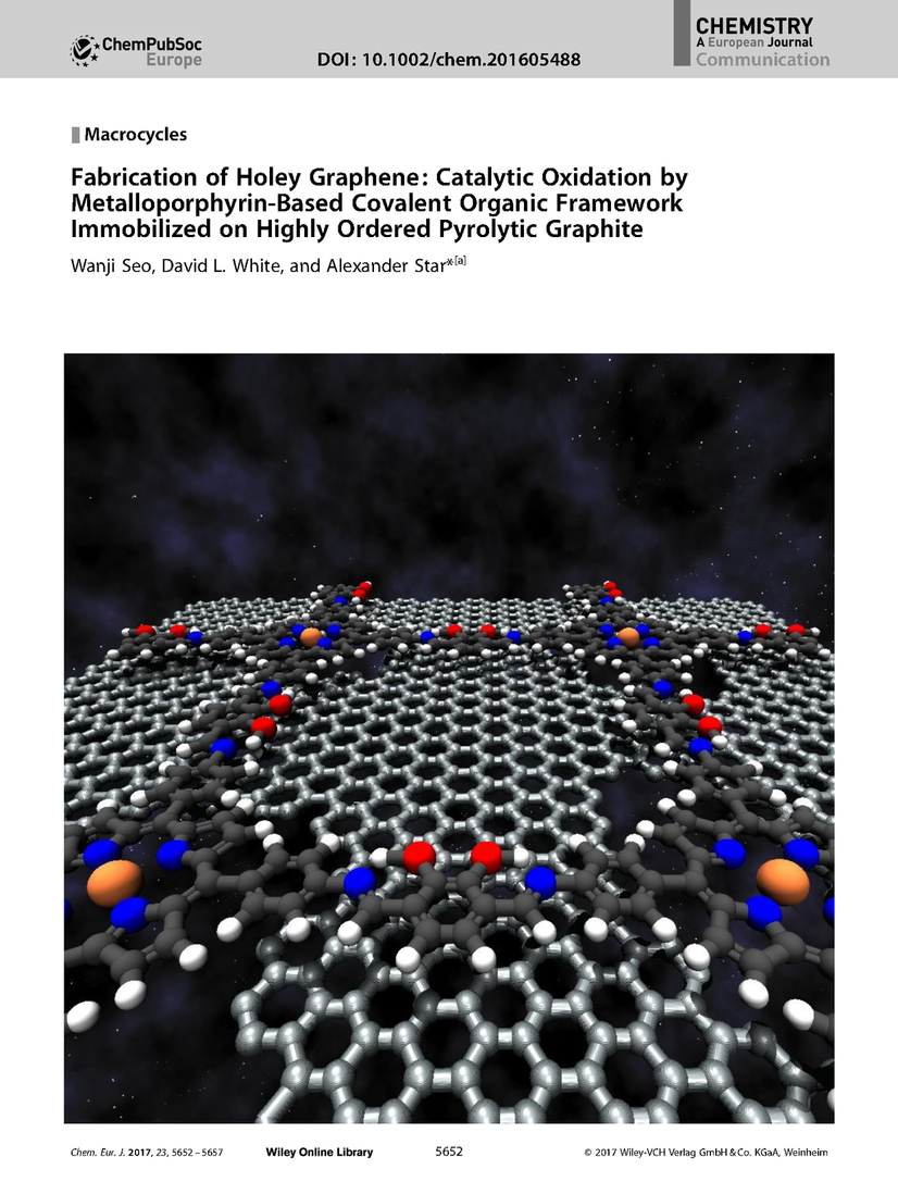 Frontispiece: Fabrication of Holey Graphene: Catalytic Oxidation by Metalloporphyrin-Based ...