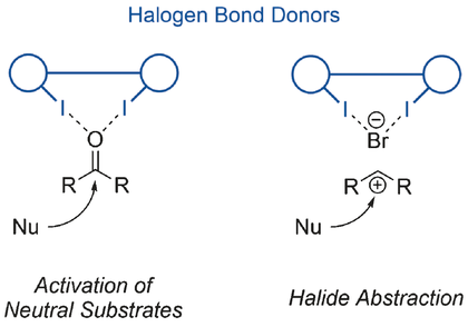Halogen Bonding in Organic Synthesis and Organocatalysis,Chemistry - A ...