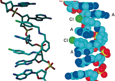 Unwinding DNA and RNA with Synthetic Complexes: On the Way to ...