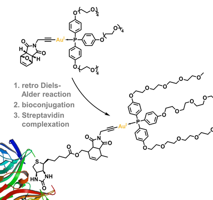 Reversible Covalent and Supramolecular Functionalization of Water ...