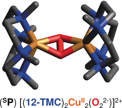 Dioxygen Activation by a Macrocyclic Copper Complex Leads to a Cu2O2 ...