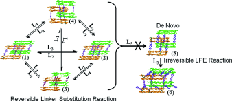 Single‐Crystal to Single‐Crystal Linker Substitution, Linker Place ...