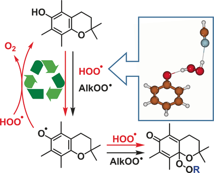 Hydroperoxyl Radicals (HOO.): Vitamin E Regeneration and H‐Bond Effects ...