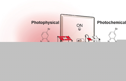 对不同 G-四链体结构具有选择性的钌络合物“光开关”,Chemistry - A European Journal - X-MOL