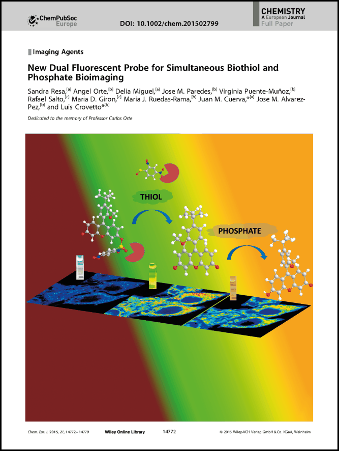 Frontispiece: New Dual Fluorescent Probe for Simultaneous Biothiol and ...