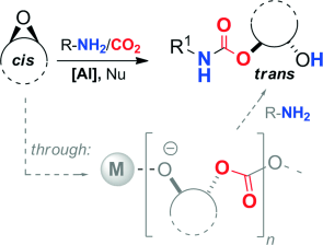 Stereodivergent Carbamate Synthesis by Selective in Situ Trapping of ...