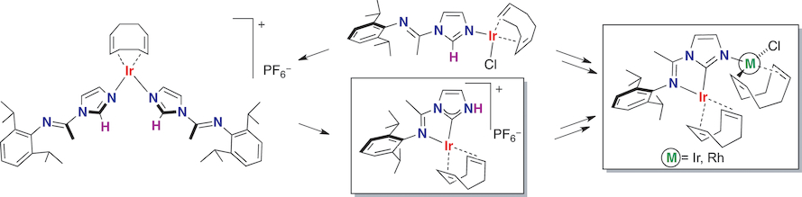 Homo‐ and Heterodinuclear Ir and Rh Imine‐functionalized Protic NHC ...
