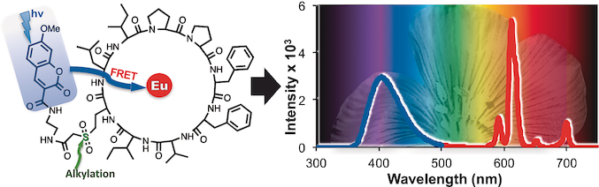 Site Covalent Modification of Methionyl Peptides for the Production of ...