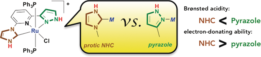 Protic N‐Heterocyclic Carbene Versus Pyrazole: Rigorous Comparison of ...