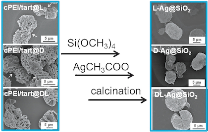 梳状聚乙烯亚胺和酒石酸配合物为模板的手性SiO2和Ag @ SiO2材料,Chemistry - A European Journal - X-MOL