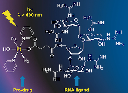 A Photoactivatable Platinum(IV) Anticancer Complex Conjugated to the ...