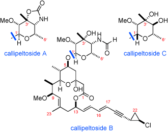 Callipeltosides A、B 和 C：全合成和结构确认,Chemistry - A European Journal - X-MOL