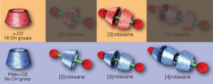 Structural Analysis and Inclusion Mechanism of Native and Permethylated ...