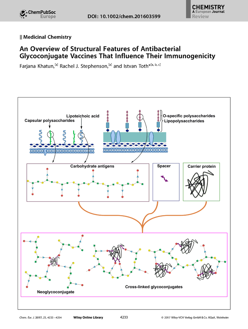 Frontispiece: An Overview of Structural Features of Antibacterial ...