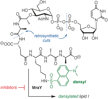 Total Synthesis of Dansylated Park's Nucleotide for High‐Throughput ...