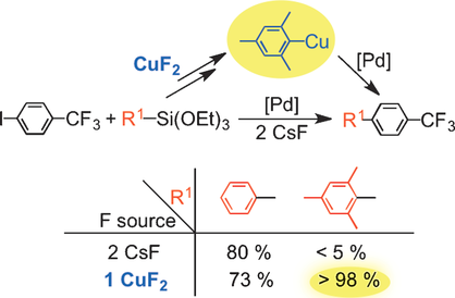 从CuF2原位生成ArCu使大体积芳基硅烷的偶联可行且高效,Chemistry - A European Journal - X-MOL