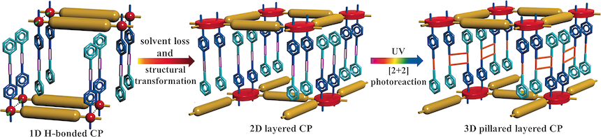 A Step‐by‐Step Assembly of a 3D Coordination Polymer in the Solid‐State ...