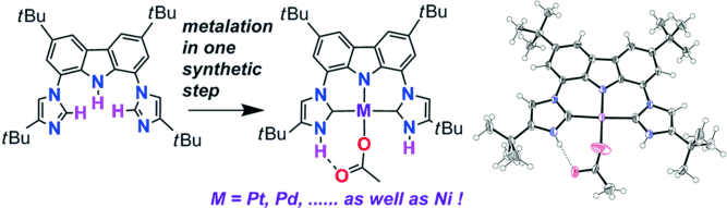 Hydrogen‐Bonding Pincer Complexes with Two Protic N‐Heterocyclic ...