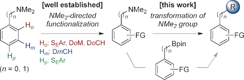 Making Dimethylamino a Transformable Directing Group by Nickel ...