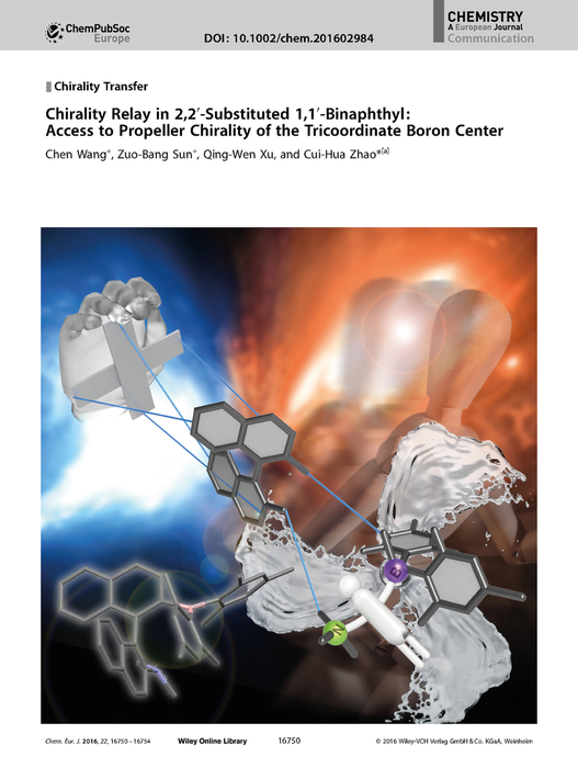 Frontispiece: Chirality Relay in 2,2′-Substituted 1,1′-Binaphthyl ...