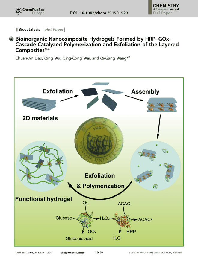 代表作：通过HRP–GOx级联催化的层状复合材料的聚合和剥离形成的生物无机纳米复合水凝胶,Chemistry - A European ...
