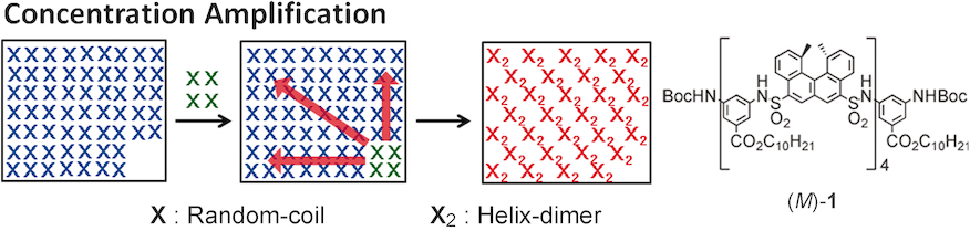 Concentration Threshold and Amplification Exhibited by a Helicene ...