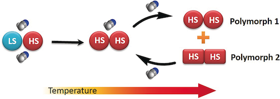 Spin Crossover, Polymorphism and Porosity to Liquid Solvent in ...