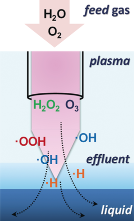 Non-Thermal Plasma in Contact with Water: The Origin of Species ...
