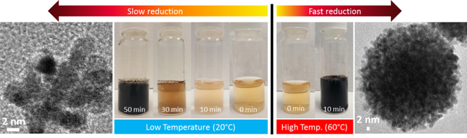 Synthesis and Cytotoxicity of Dendritic Platinum Nanoparticles with HEK ...
