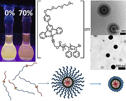 Simple and Versatile Preparation of Luminescent Amphiphilic Platinum(II ...