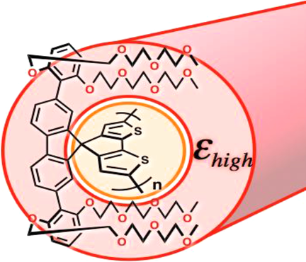 Stabilization of Charge Carriers in Picket‐Fence Polythiophenes Using ...