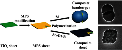 Preparation of Sheet‐like Polymer‐Encapsulated Composite Particles by ...