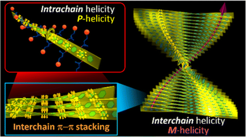 Interchain Helically π-Stacked Assembly of Cationic Chiral Poly(para ...