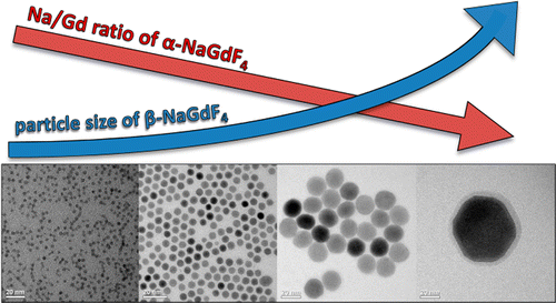 Size Control of Nearly Monodisperse β-NaGdF4 Particles Prepared from Small α-NaGdF4 Nanocrystals ...