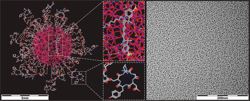 Control of Ultrasmall Sub-10 nm Ligand-Functionalized Fluorescent Core ...