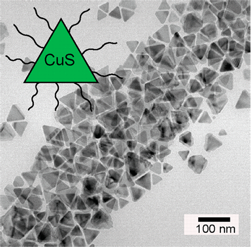 Shape Focusing During the Anisotropic Growth of CuS Triangular ...